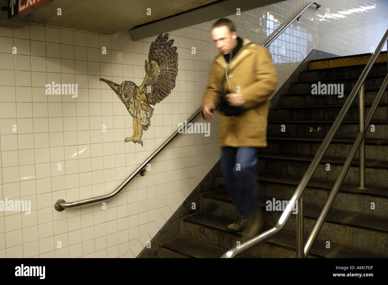 Museum of Natural History NY eagle tile stairs male descending ...