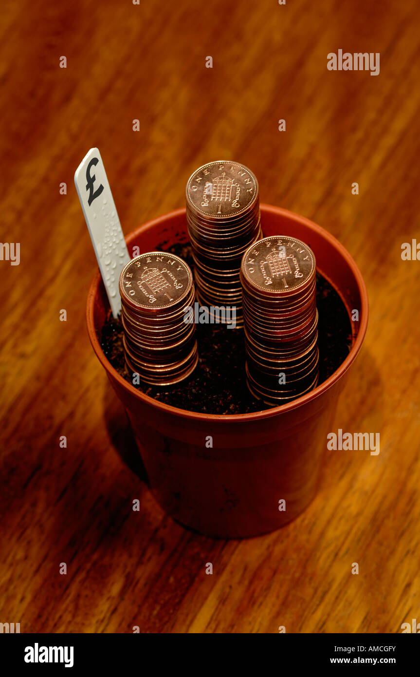 Plant pot with coins Stock Photo - Alamy