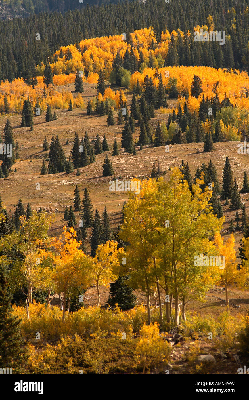 Ouray colorado fall hi-res stock photography and images - Alamy