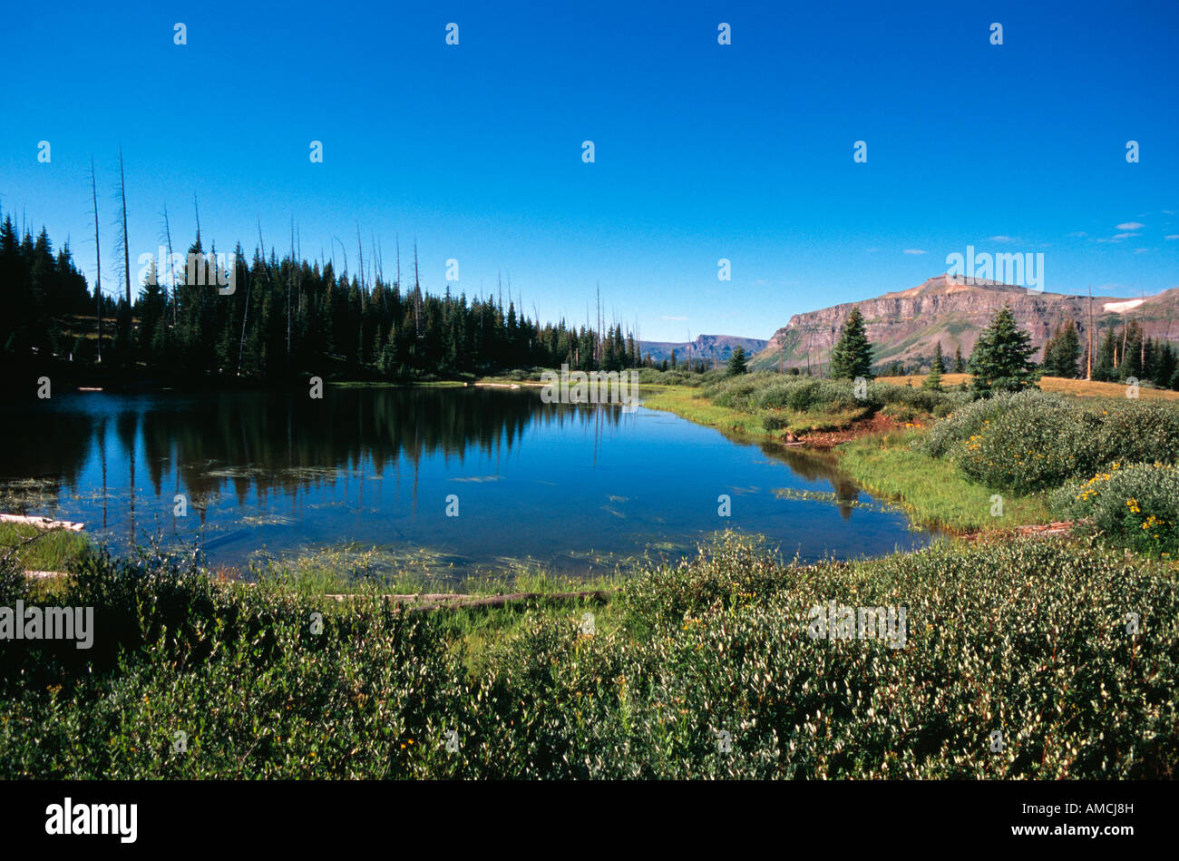 Edge Lake in the Flattops Wilderness Area Colorado USA Stock Photo - Alamy