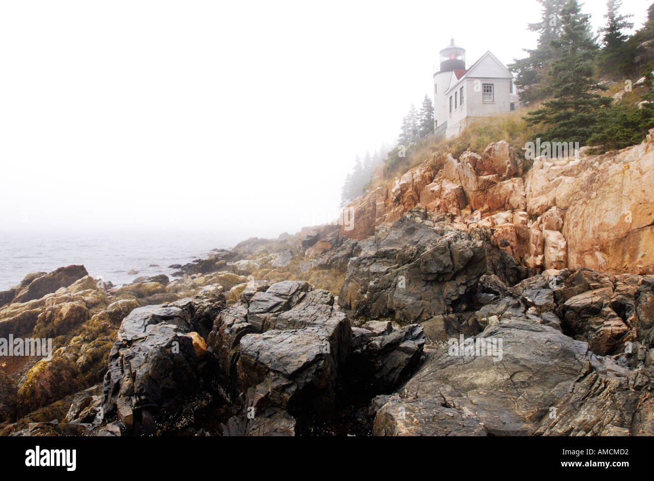 Bass Harbor Head Lighthouse Stock Photo - Alamy