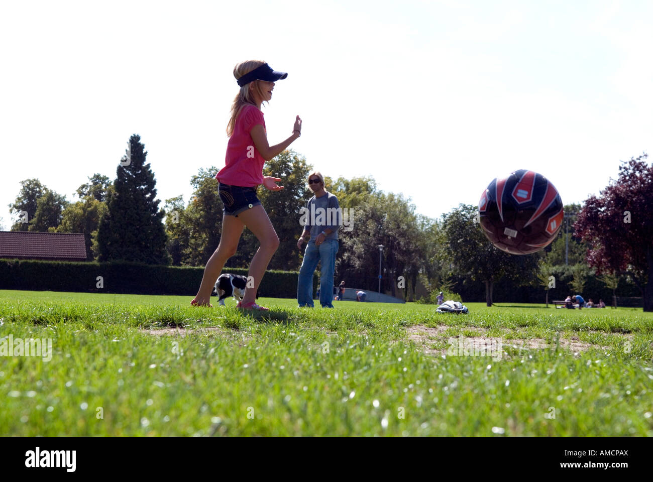 Family football park dog hi-res stock photography and images - Alamy