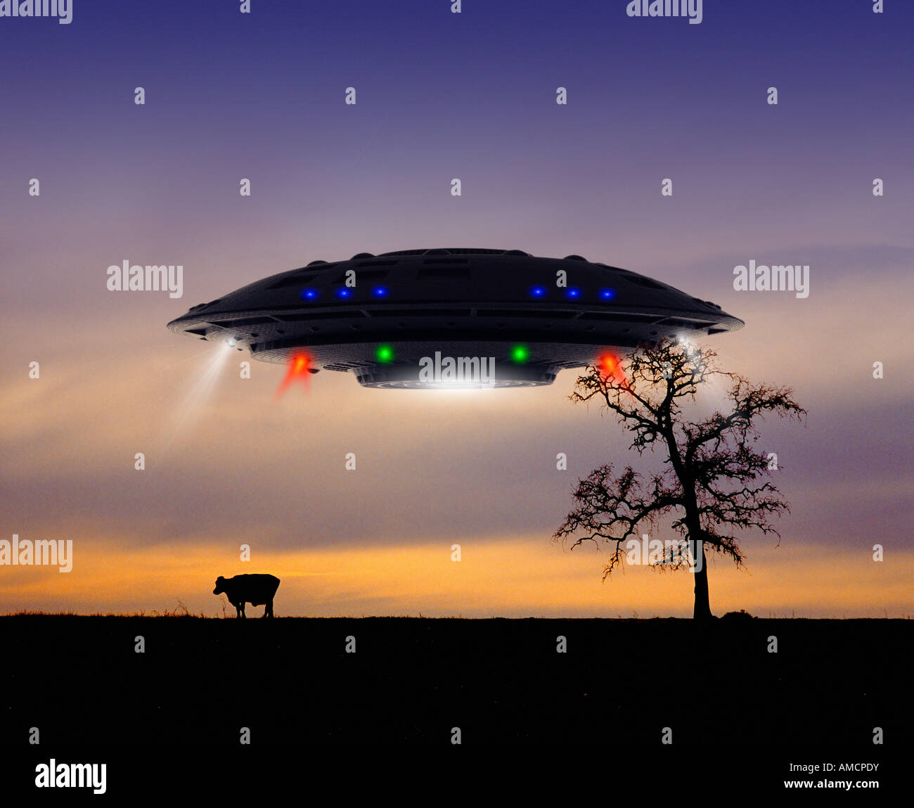 UFO abducting a cow at night Stock Photo - Alamy