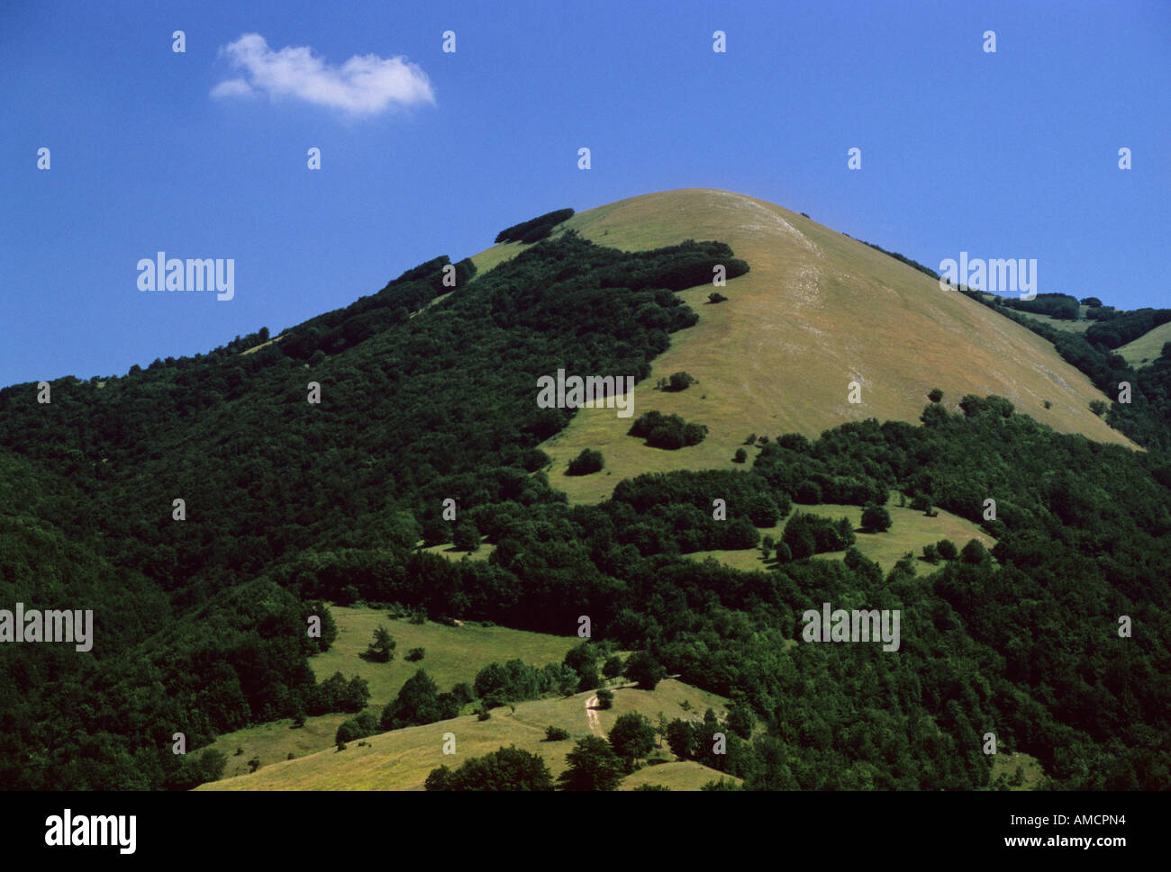 Monte Cavallo, Italy Stock Photo - Alamy