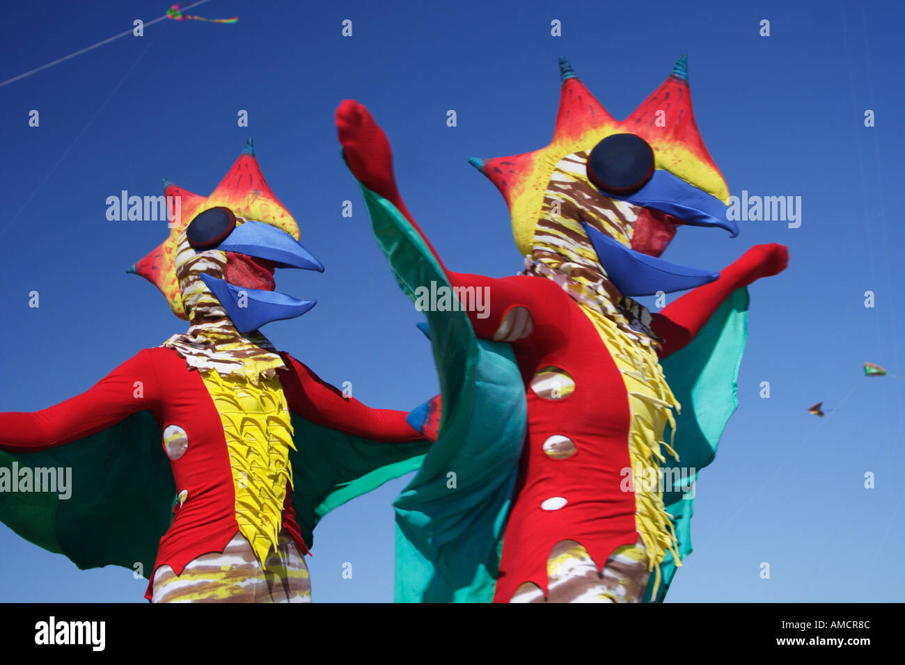 Rooster flapping wings hi-res stock photography and images - Alamy