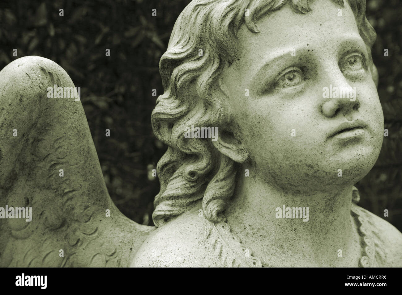 Statue of Angel close up Stock Photo - Alamy