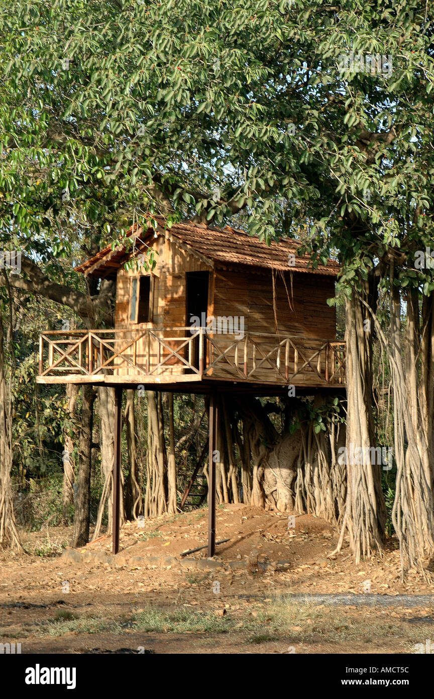House on stilts around banyan tree, India Stock Photo - Alamy