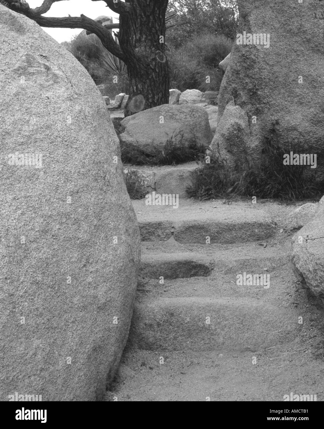 Stone path between huge rocks in Joshua Tree National Park California ...