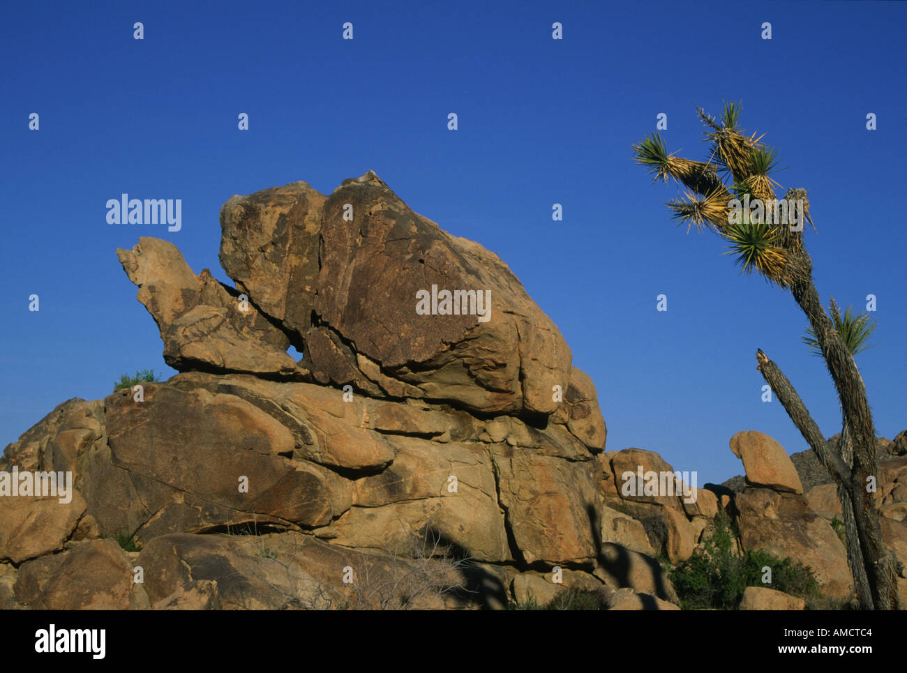 Turtle Shaped Rock High Resolution Stock Photography and Images - Alamy