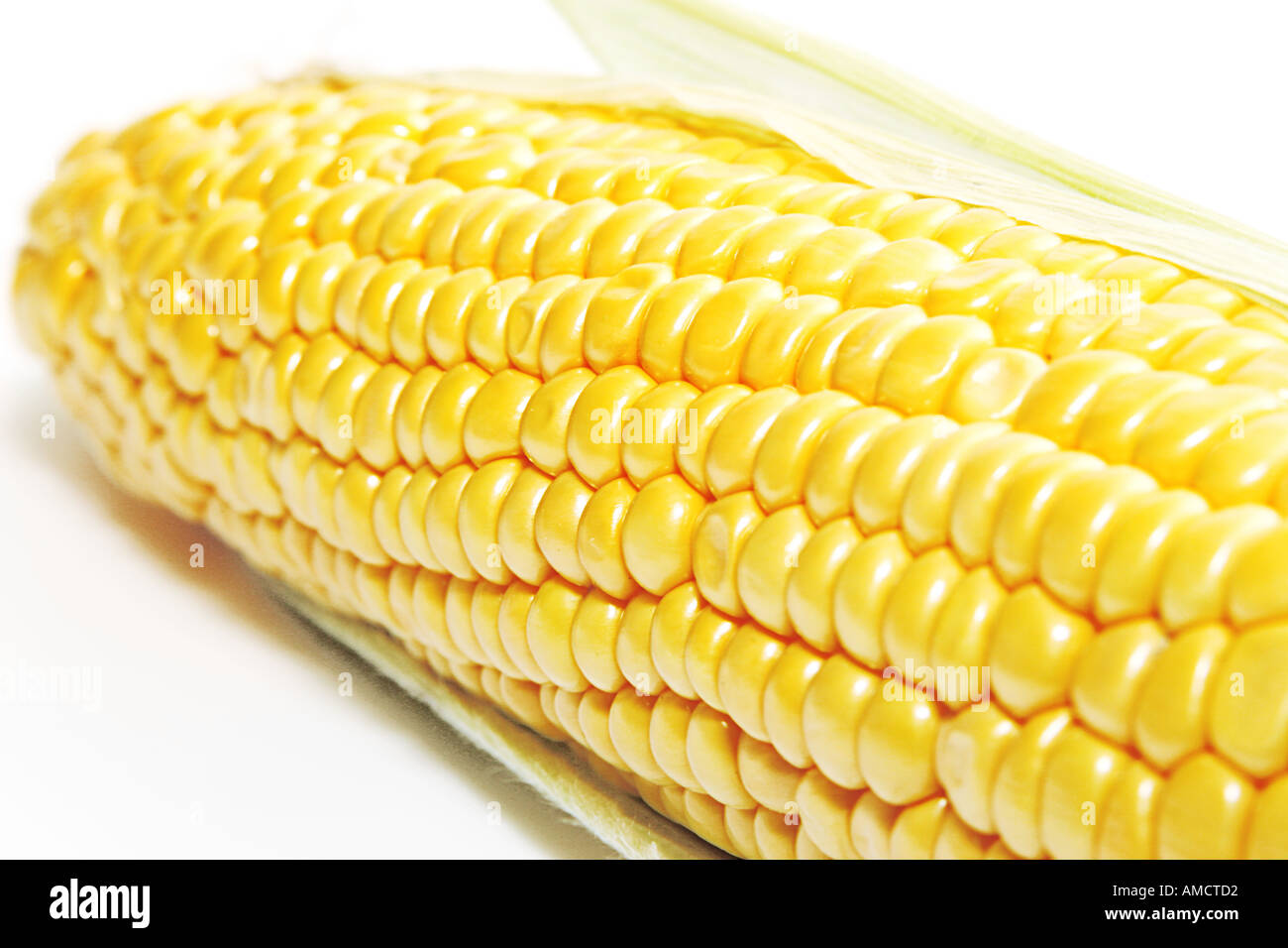 corn in white background Stock Photo - Alamy