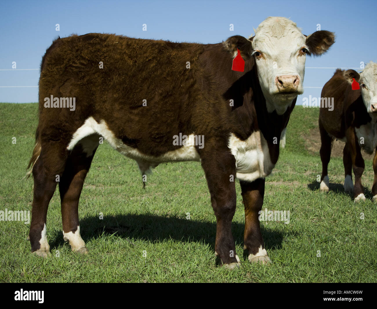 Rural farming lands out hi-res stock photography and images - Alamy