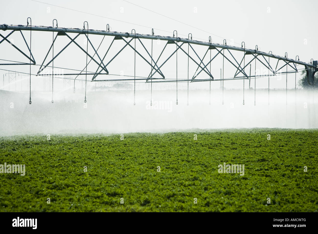 Metal structure with mist and grass field Stock Photo - Alamy