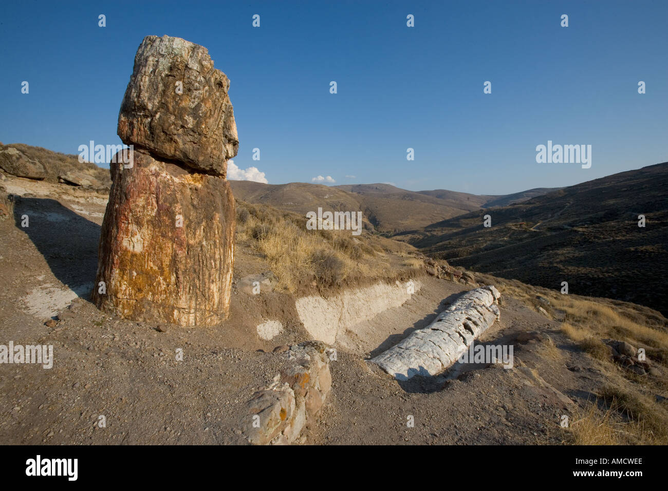 Petrified forest lesbos hi-res stock photography and images - Alamy