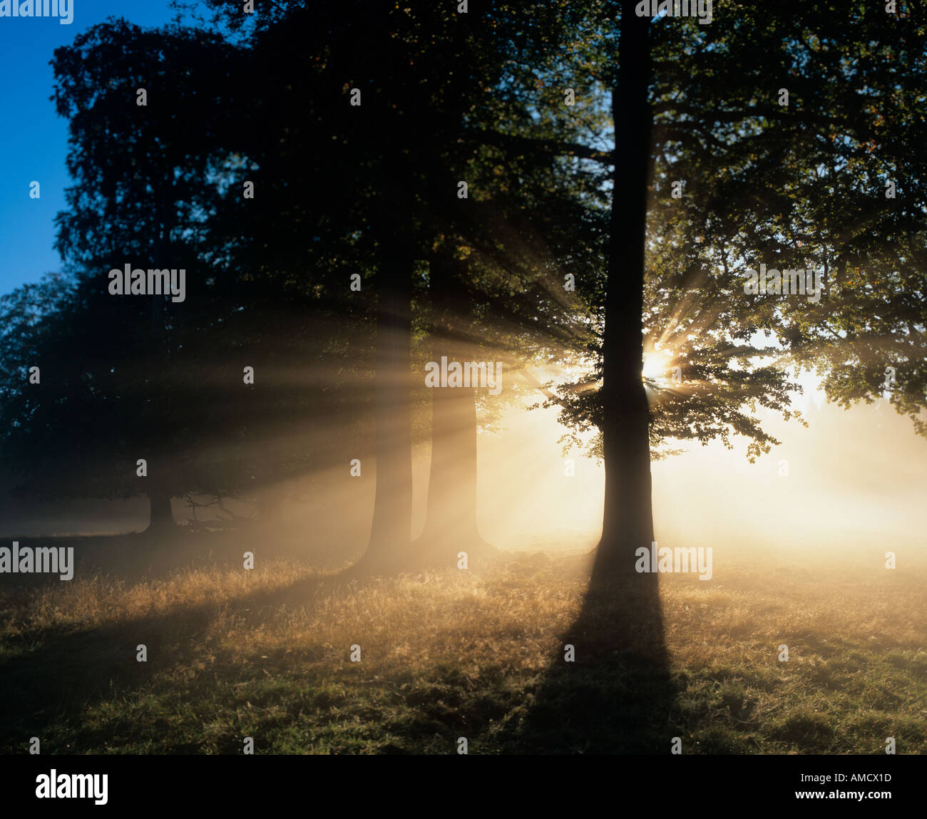 Homecounties hi-res stock photography and images - Alamy