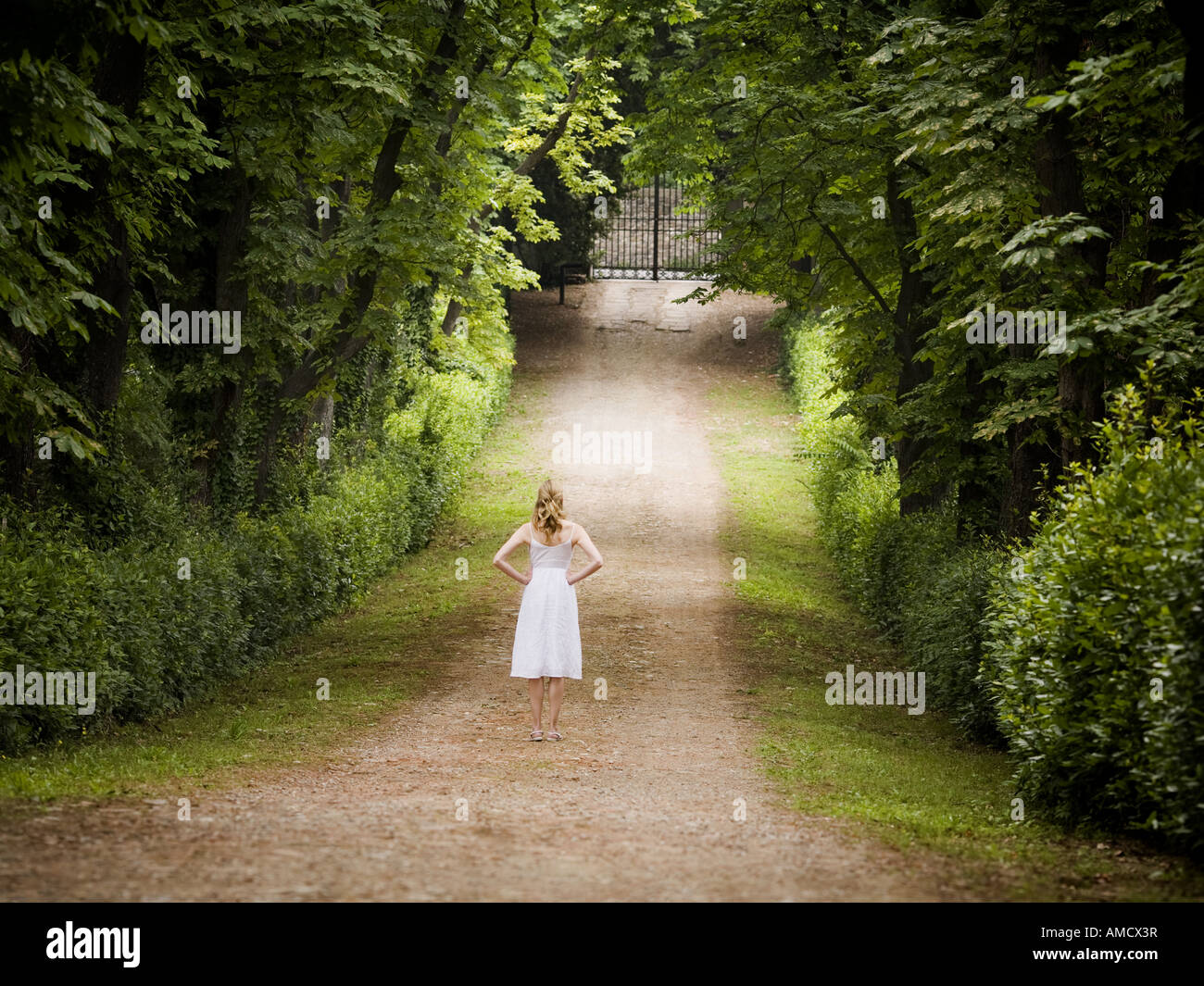 Rear view of woman on path in woods with iron gate Stock Photo - Alamy