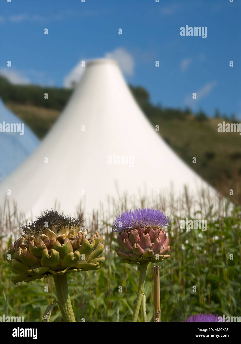 Eden project food hi-res stock photography and images - Alamy