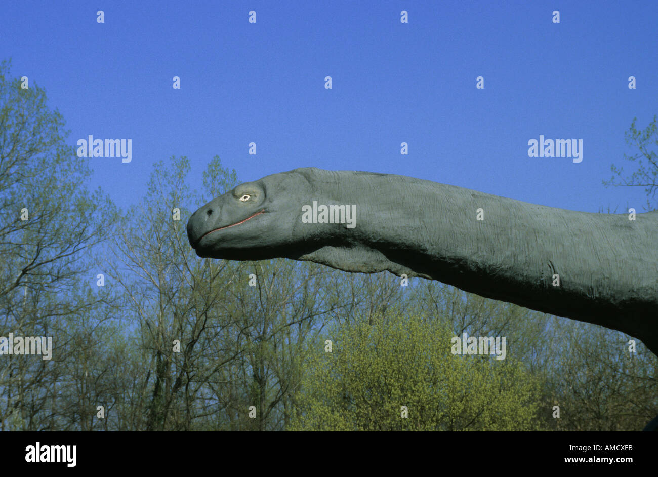 Brontosaurus High Resolution Stock Photography and Images - Alamy