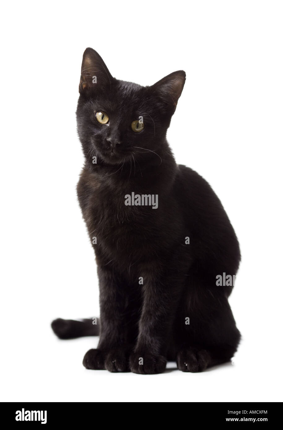 Bad luck people Cut Out Stock Images & Pictures - Alamy