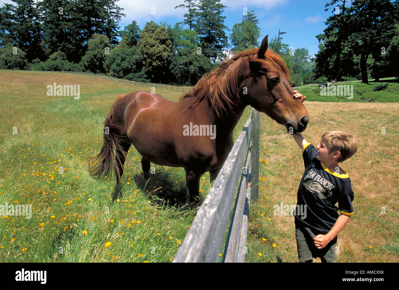 Pat reyes hi-res stock photography and images - Alamy