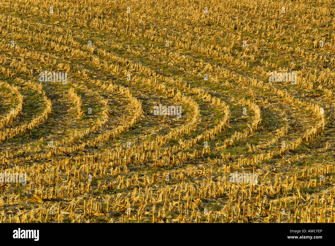 Aerial view of crop field Stock Photo - Alamy
