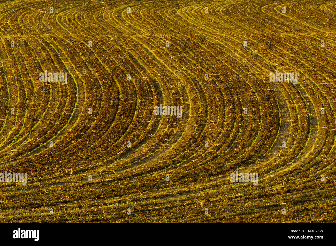 Aerial view of crop field Stock Photo - Alamy