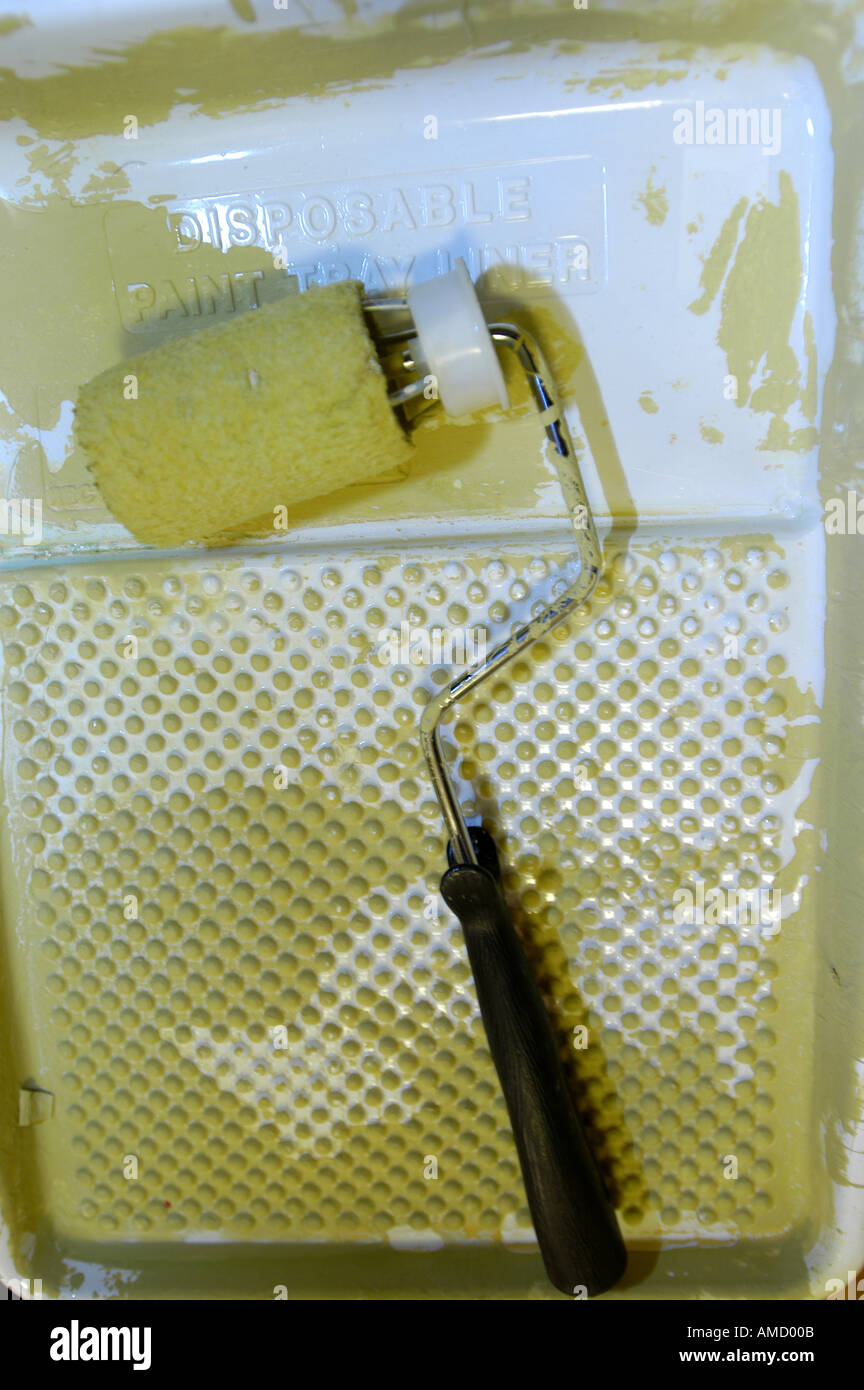 Paint roller in paint pan from above Stock Photo - Alamy