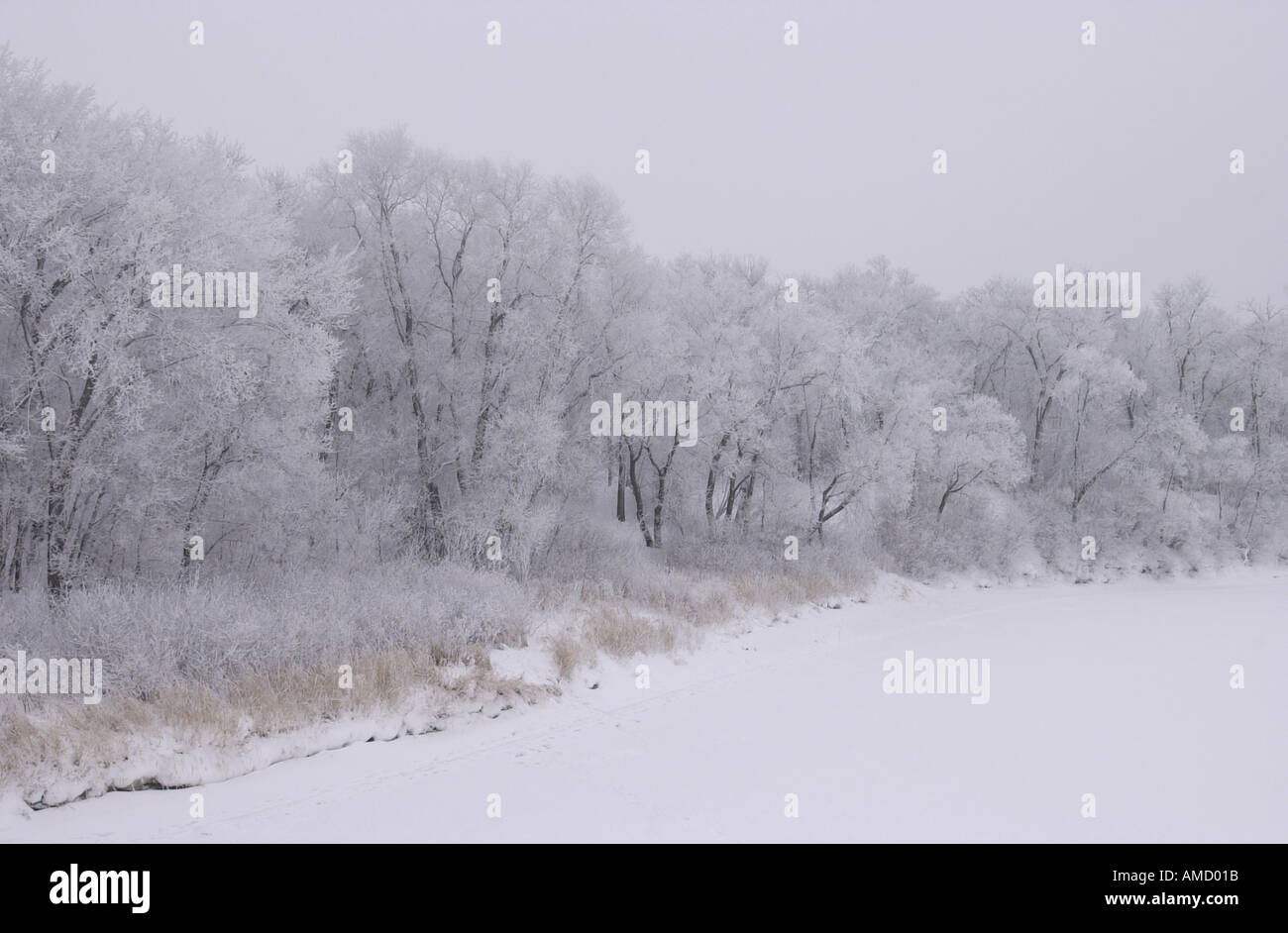 Winnipeg Winter Scenes Stock Photo - Alamy