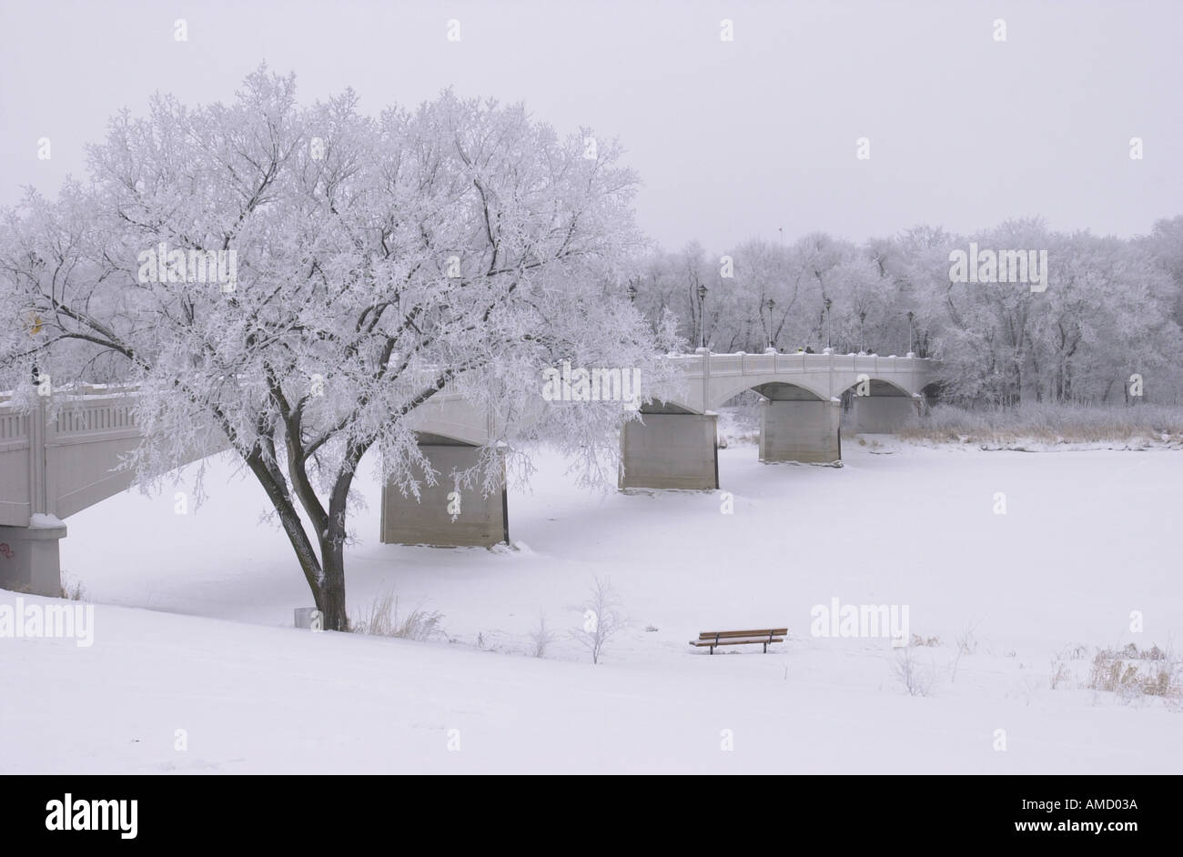 Winnipeg Winter Scenes Stock Photo - Alamy