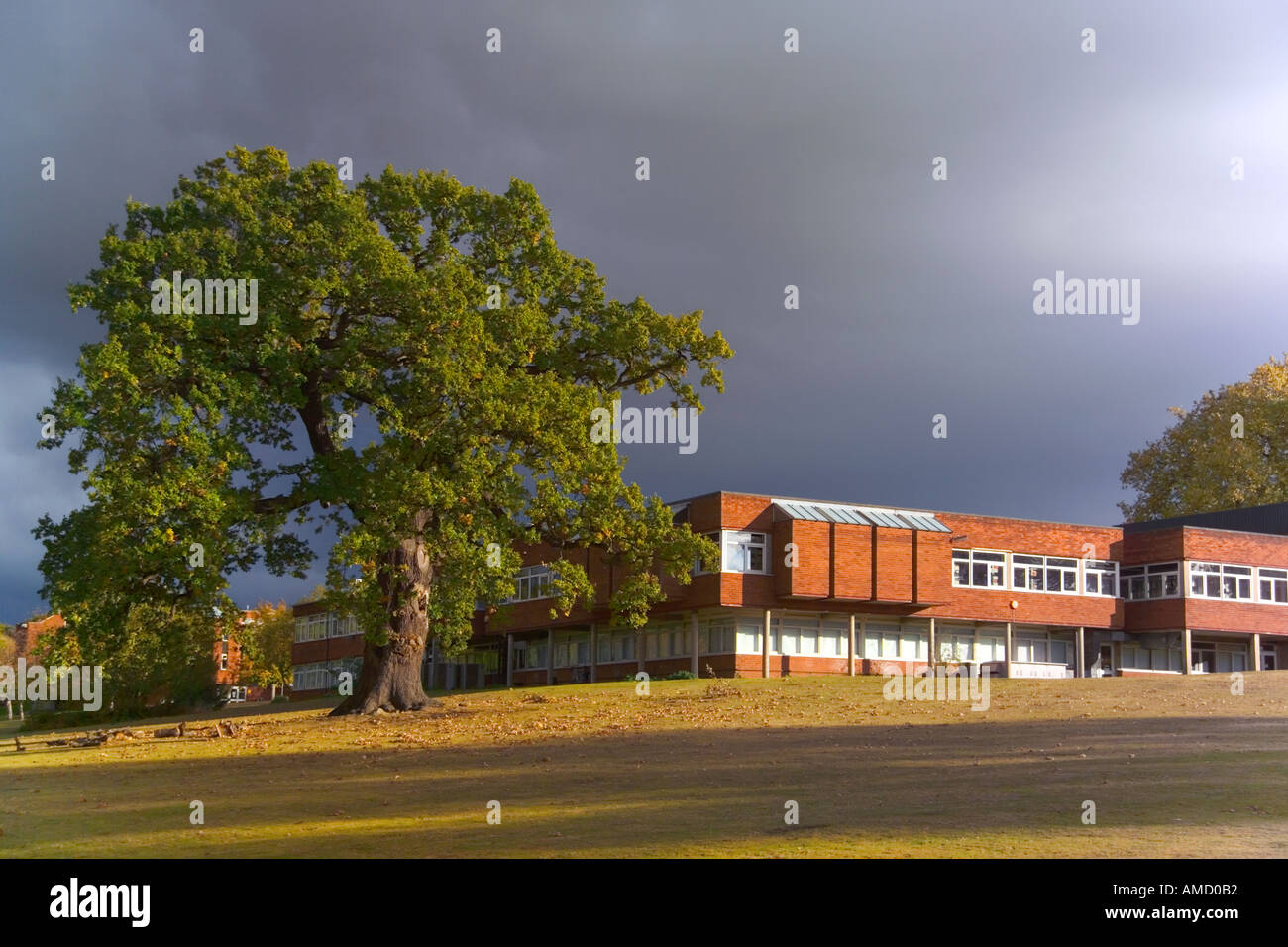 england london enfield trent park buildings of middlesex university ...