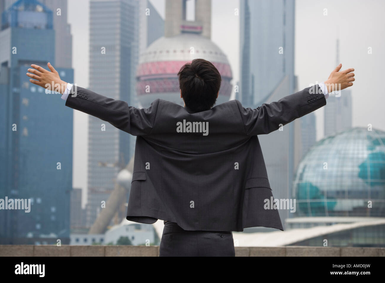 Rear view of businessman with arms up facing city skyline Stock Photo ...