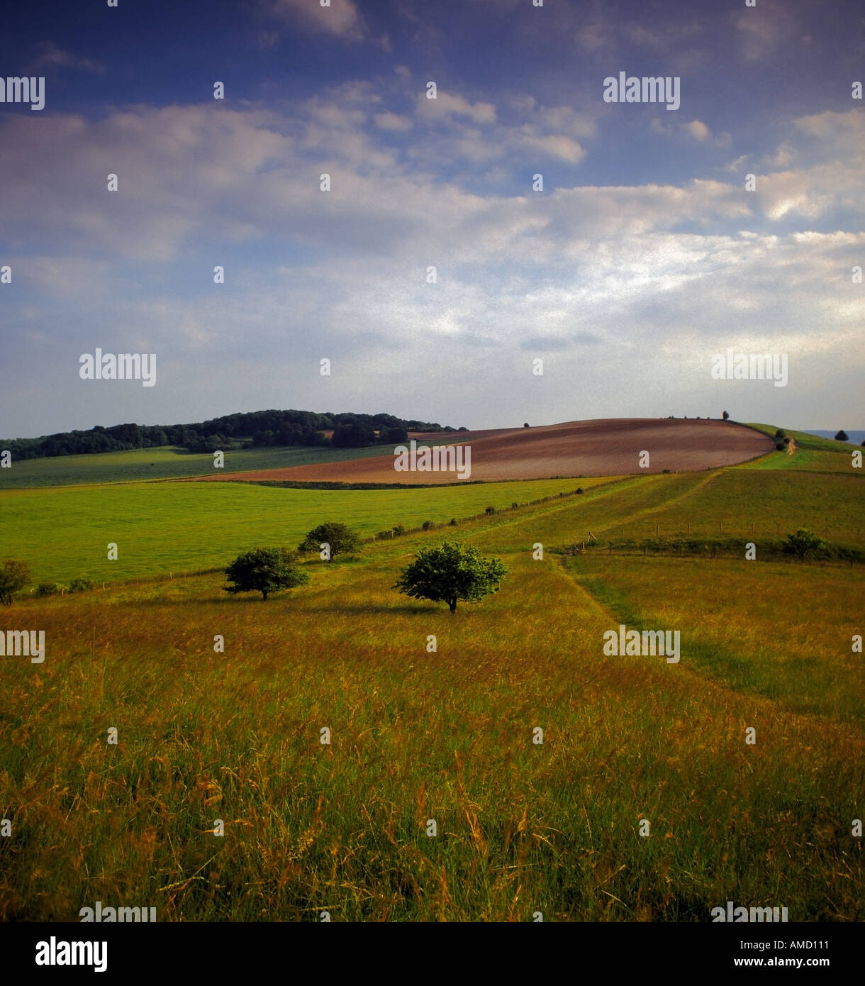 eu europe uk united kingdom great britain england the ridgeway path ...
