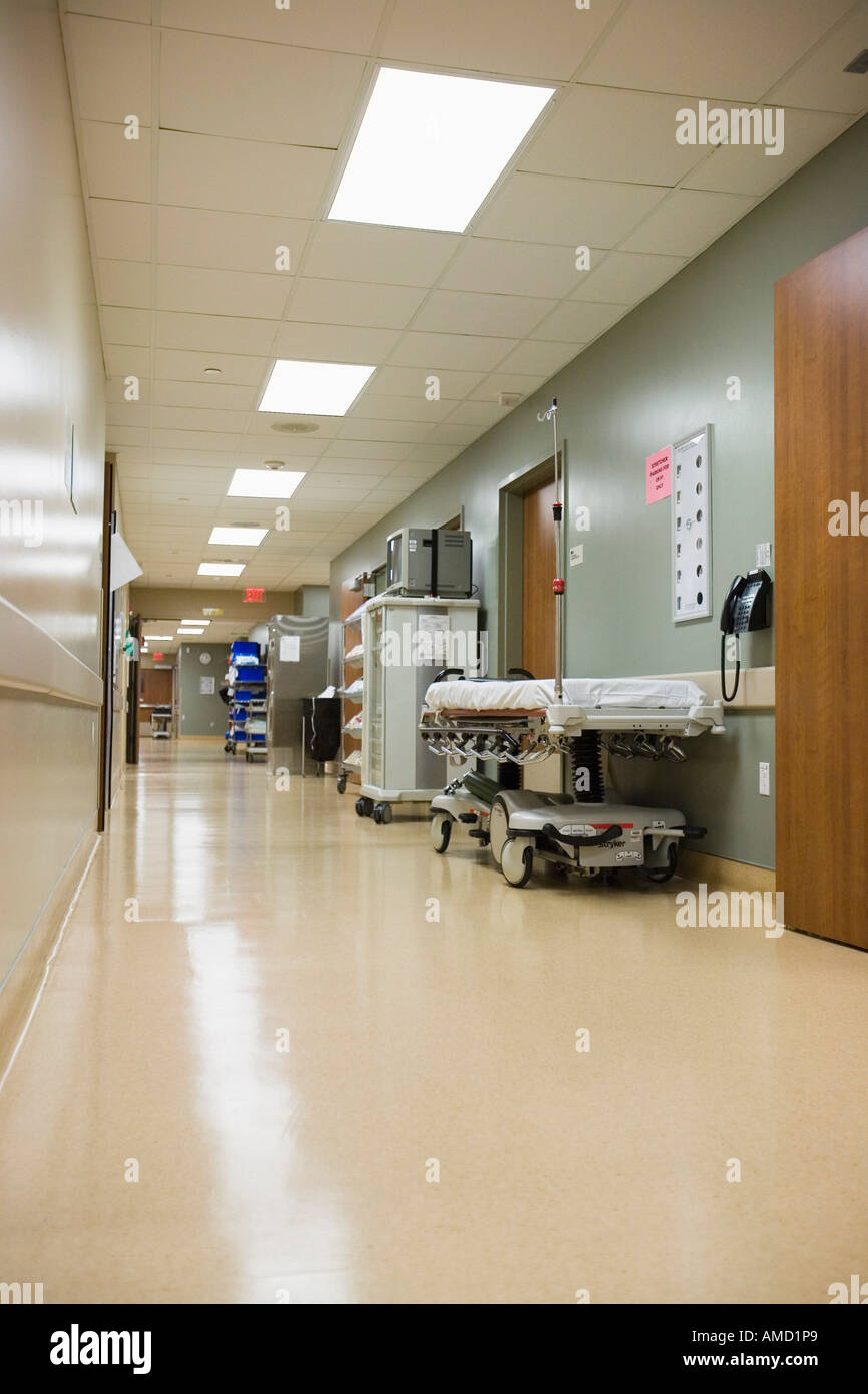 Ceiling Hallway High Resolution Stock Photography and Images - Alamy