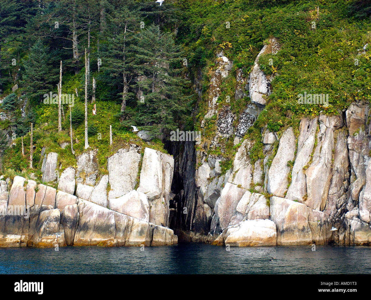 Fault line along Resurrection Bay shoreline near Seward Alaska Stock ...