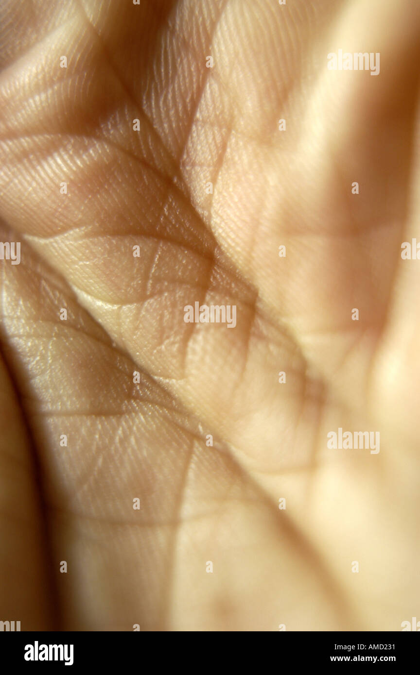 Hand palm lines hi-res stock photography and images - Alamy