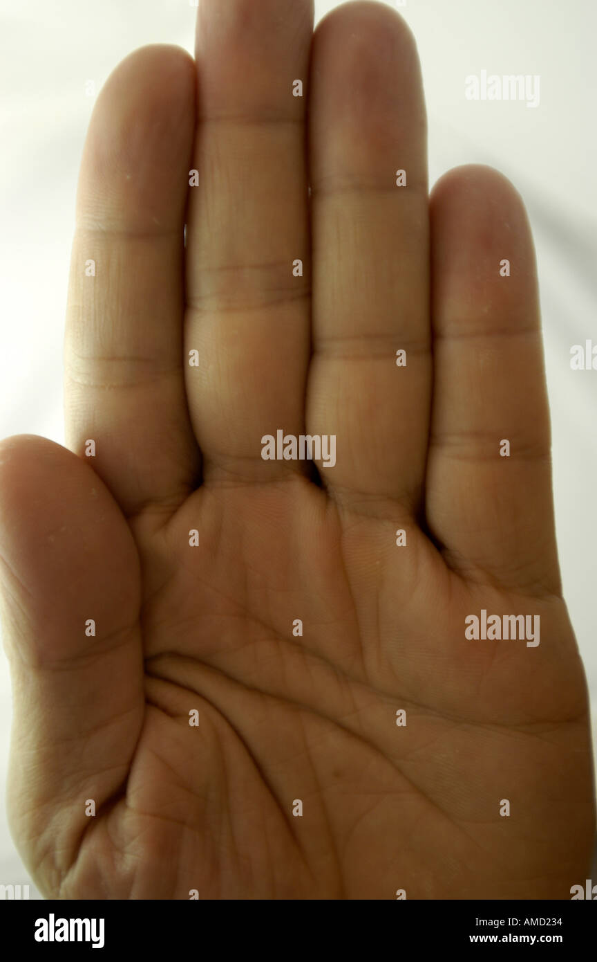 Vertical extended left hand palm Stock Photo - Alamy