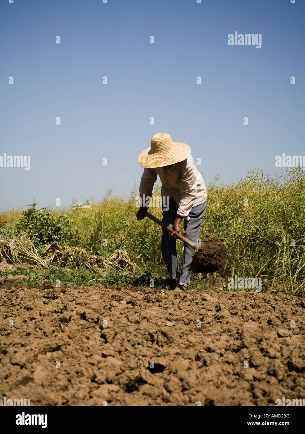 Person with straw hat working in field outdoors Stock Photo - Alamy