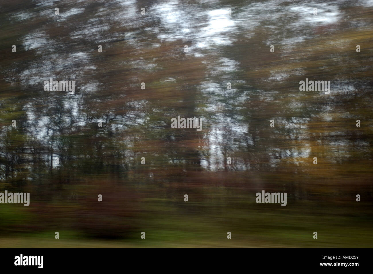 Outside trees view from fast moving vehicle Stock Photo - Alamy