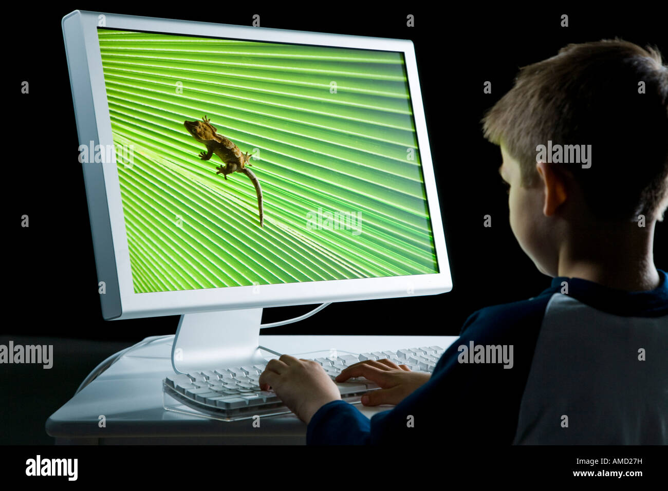 Computer monitor lizards hi-res stock photography and images - Alamy