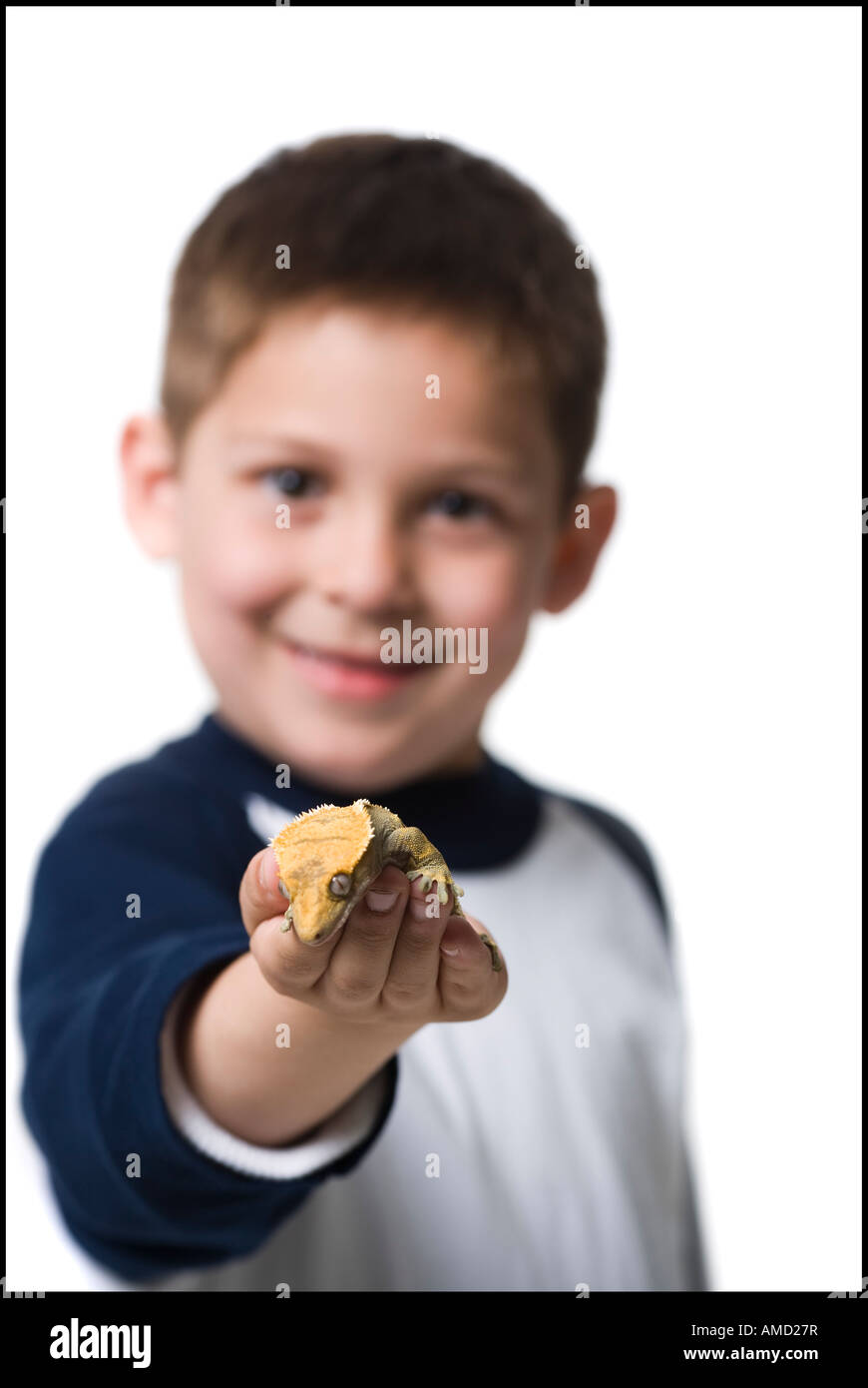 Closeup of boy holding lizard smiling Stock Photo - Alamy