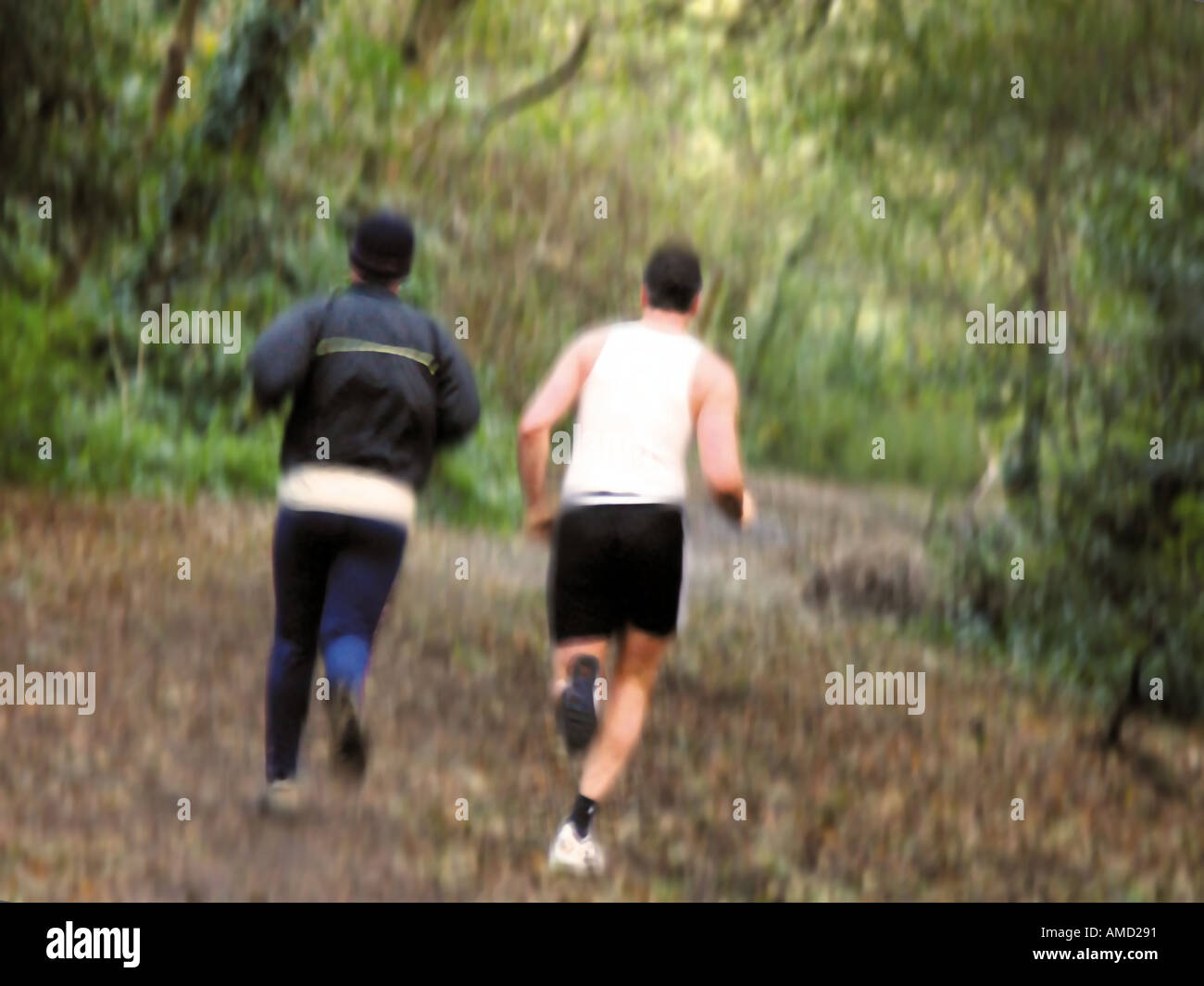 Two men running through woods hi-res stock photography and images - Alamy