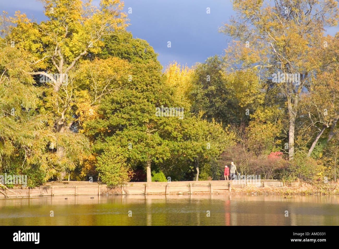 england london enfield trent park country park lake Stock Photo - Alamy