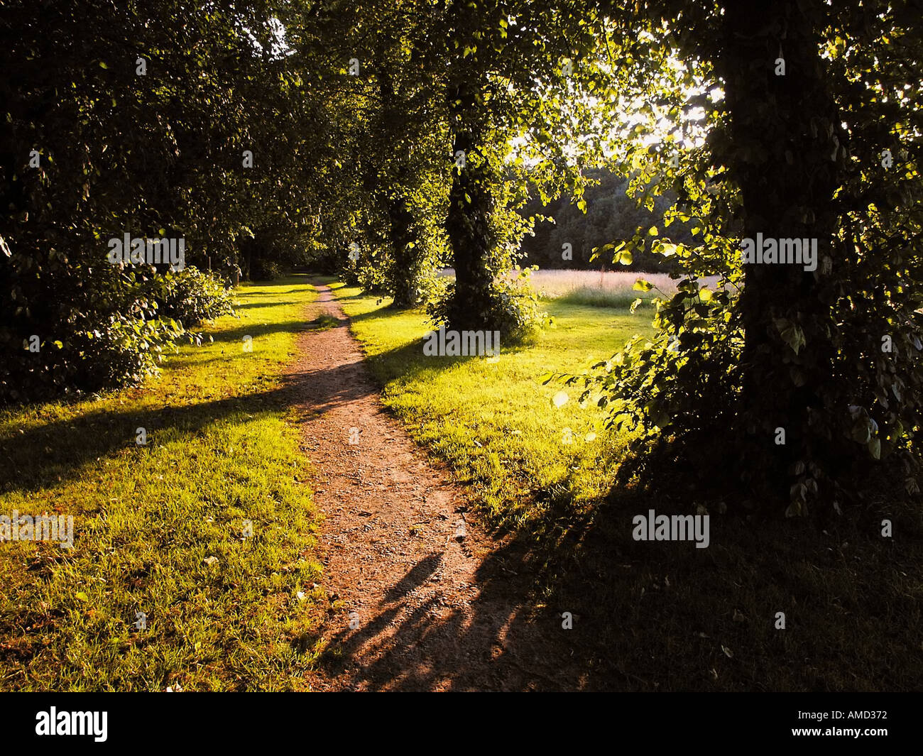 england london enfield trent park country park Stock Photo - Alamy