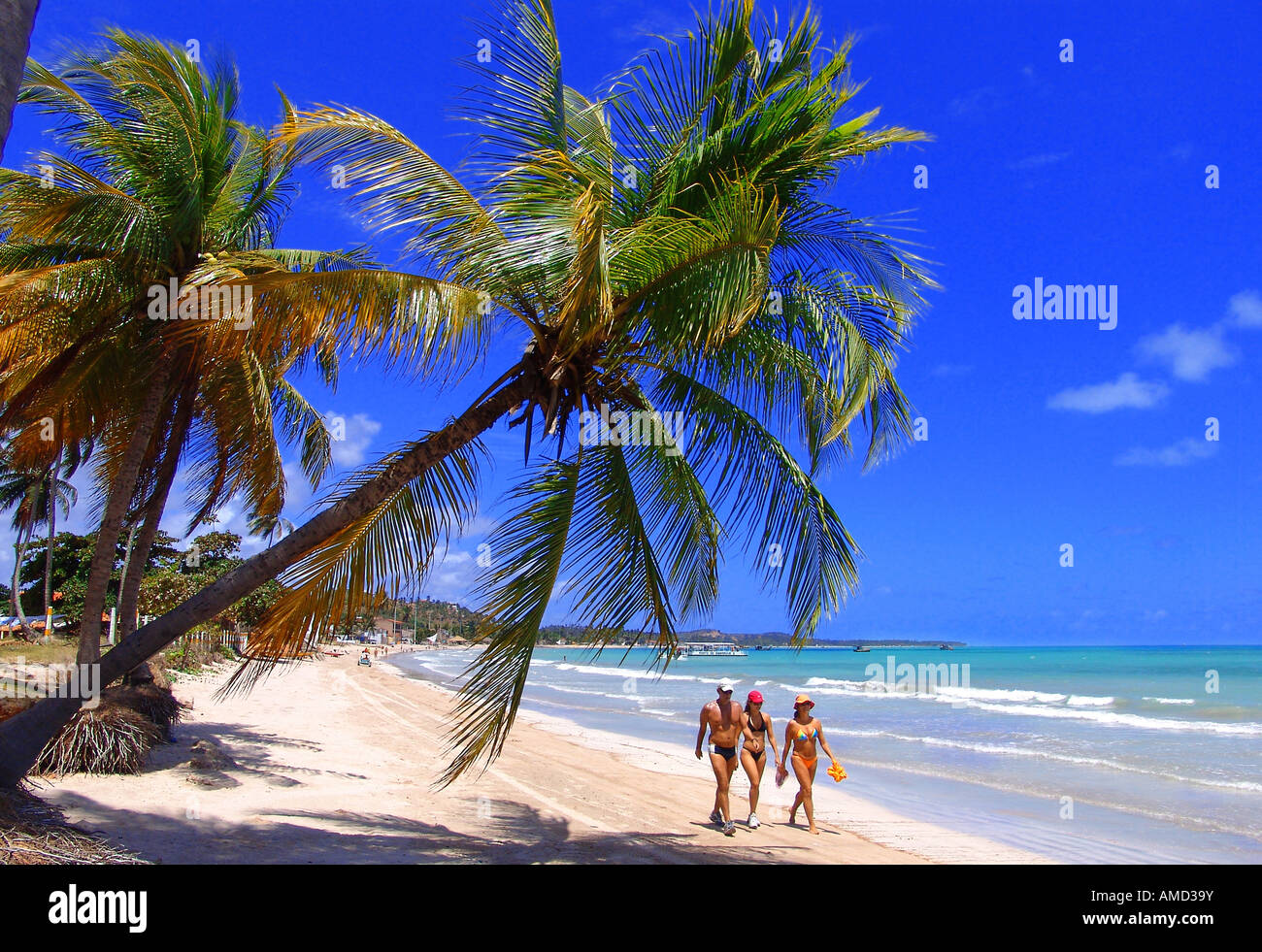 three people walking seashore on the beach in vacation Stock Photo - Alamy