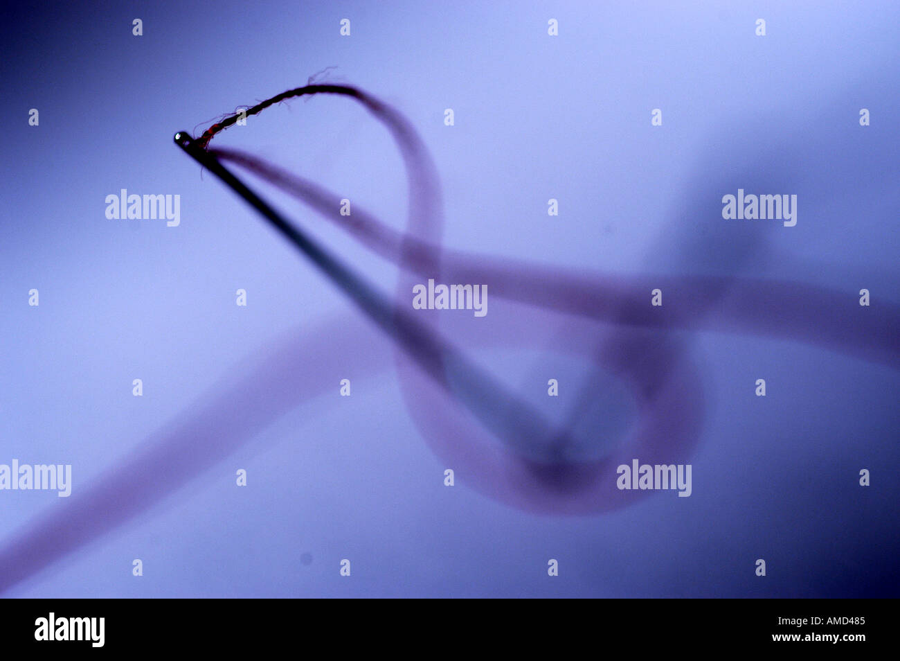 Threaded needle stuck in fabric purple hue Stock Photo - Alamy