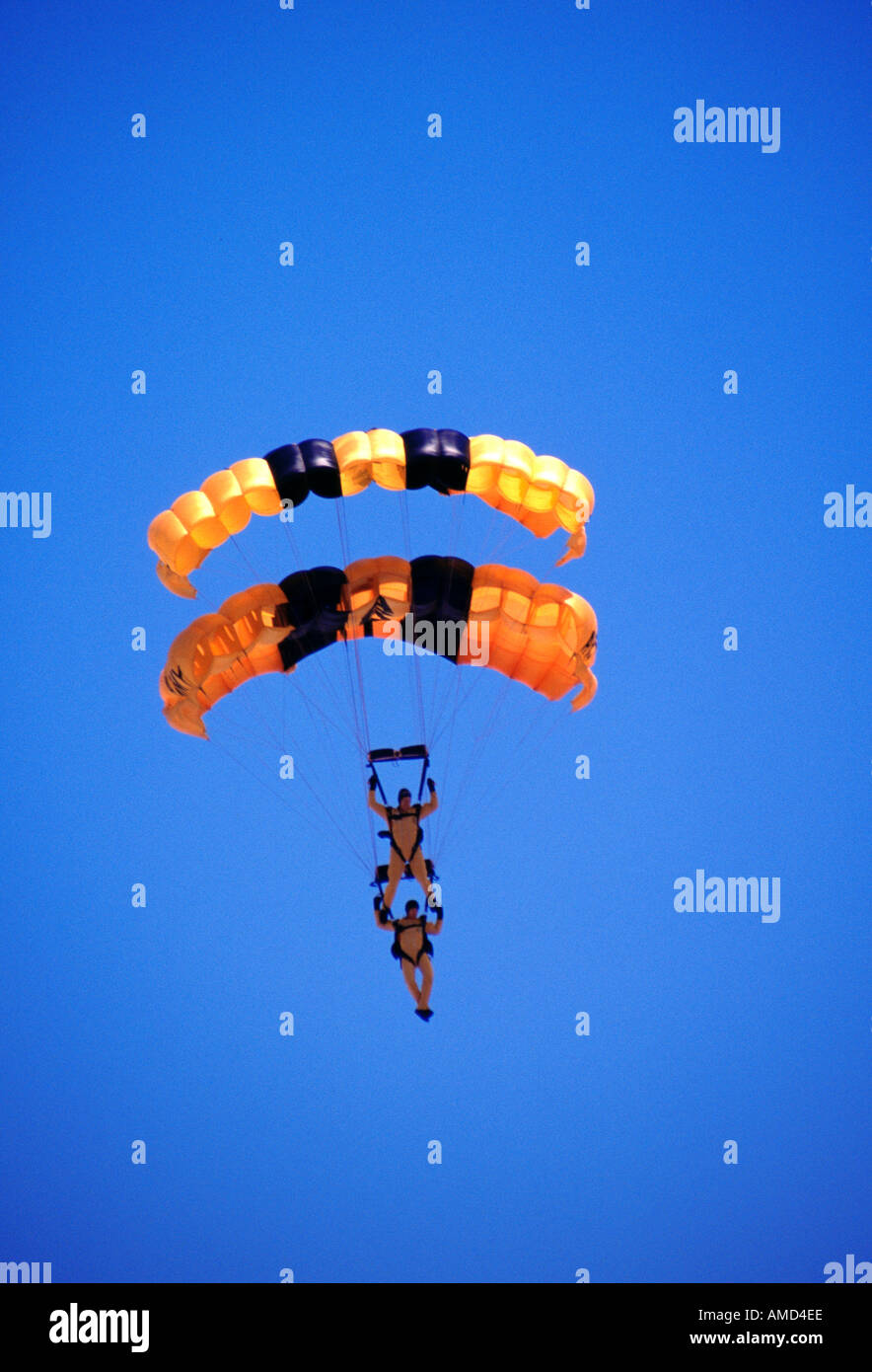 United States Army Golden Knights Parachute Demonstration Team showing ...