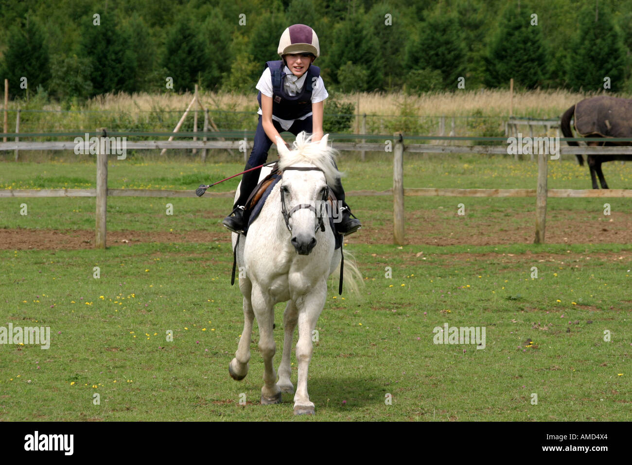 A young horse rider riding her pony Stock Photo - Alamy
