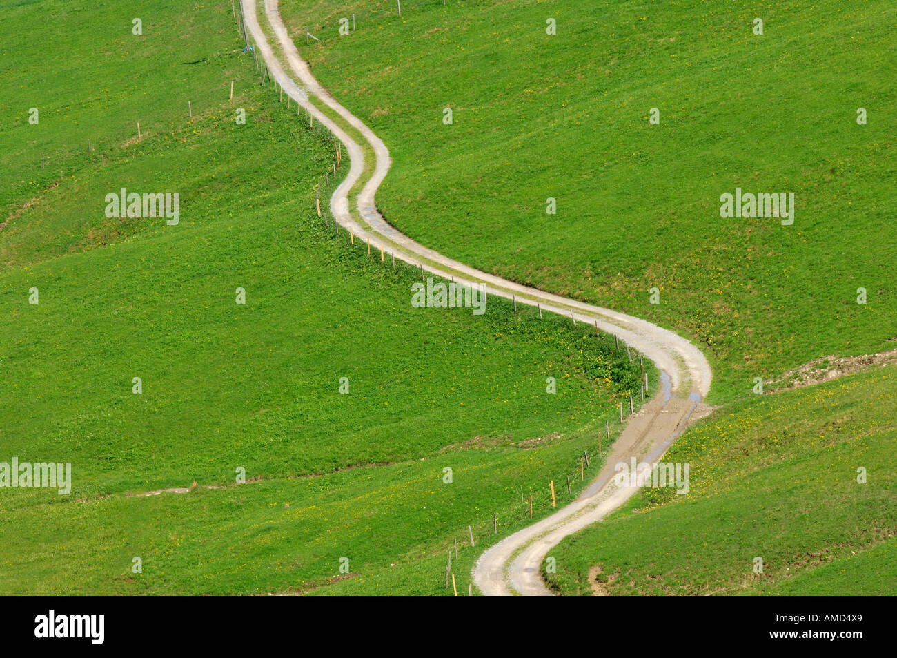 Road through Pasture, Switzerland Stock Photo - Alamy