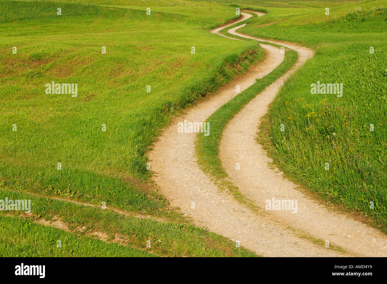 Bending country road through hi-res stock photography and images - Alamy