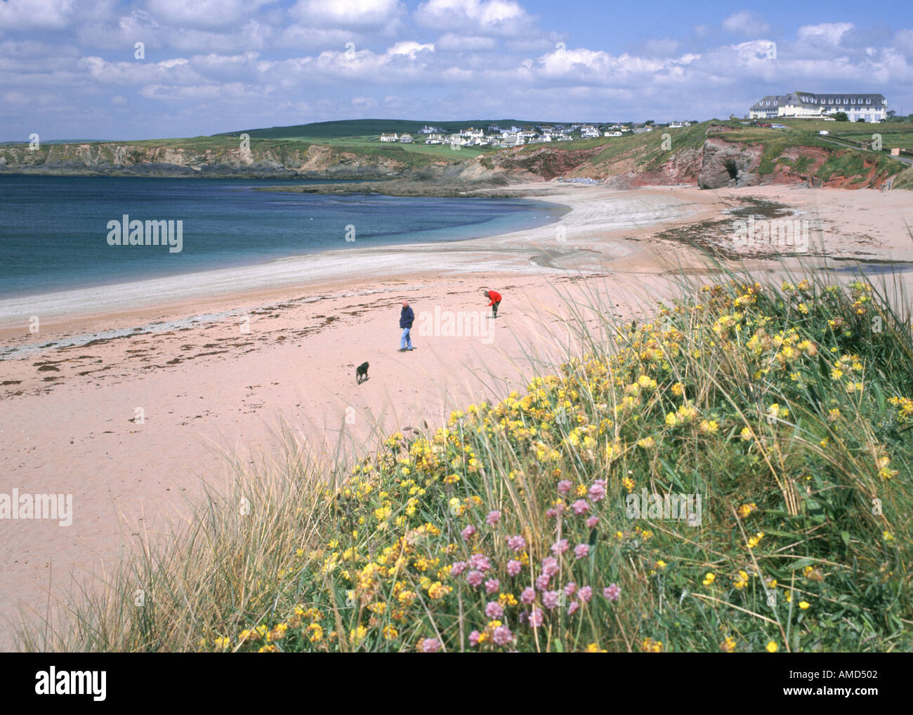 SOUTH MILTON SAND DEVON ENGLAND UK Stock Photo - Alamy