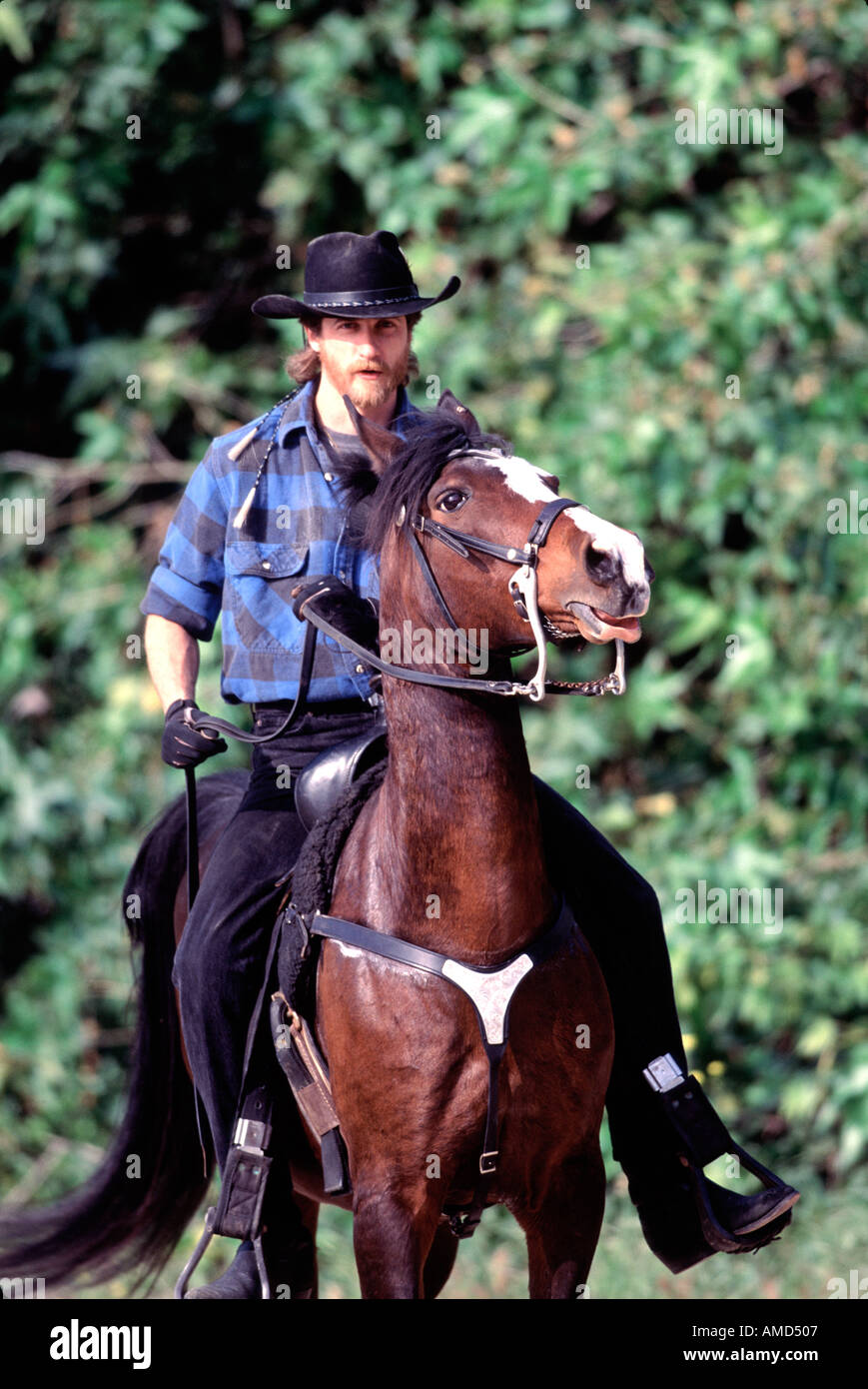 Man on horseback riding western style Stock Photo - Alamy